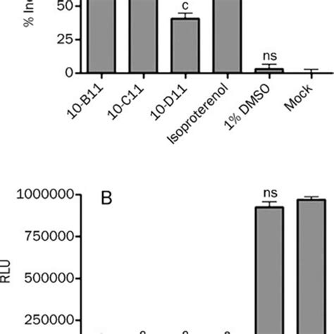 β Lactamase Efc Based Receptorβ Arrestin Interaction Assay A Vector