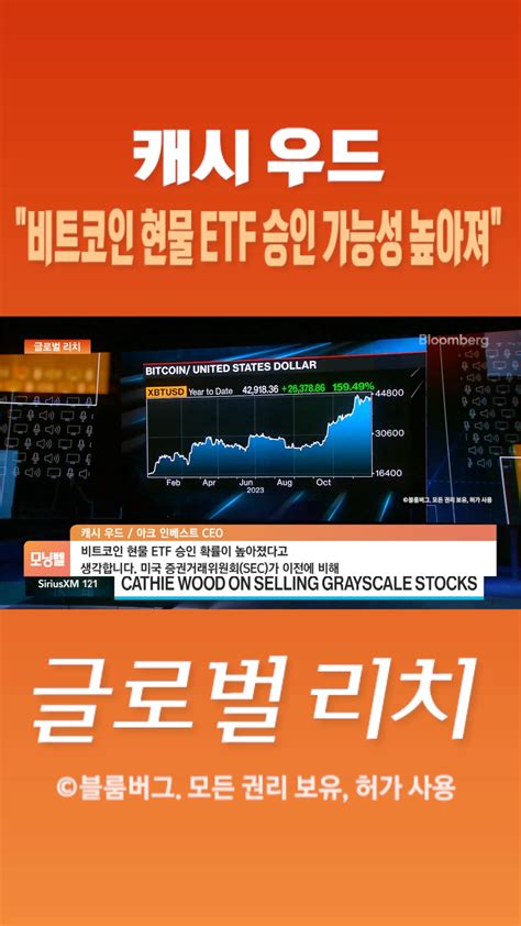 숏폼 캐시 우드 비트코인 현물 Etf 승인 가능성 높아져” Sbs Biz