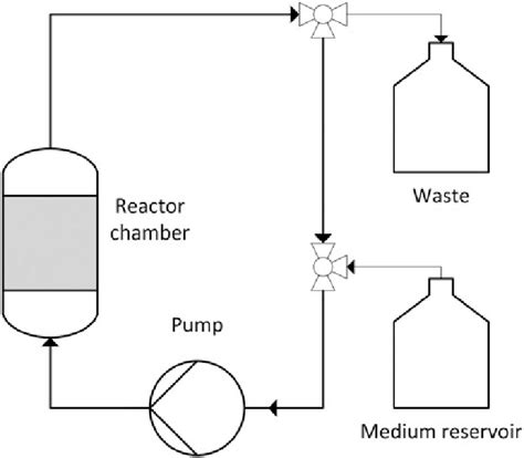 Flow Chart Of A Perfusion Bioreactor System Arrows Indicate Flow Download Scientific Diagram