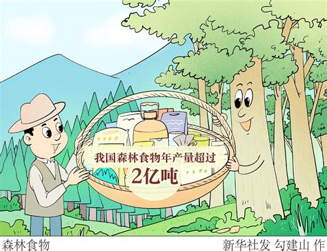 图表漫画 社会 森林食物 新华社 年产量 国家