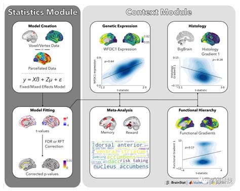 资源分享 利用机器学习进行高级mri分析 知乎