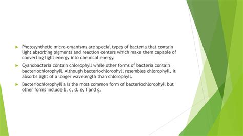 Solution Photosynthesis In Bacteria Studypool