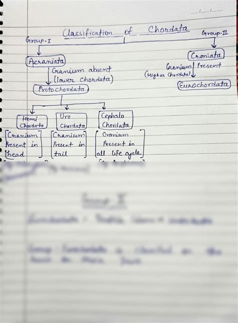 Solution Classification Of Chordata Studypool
