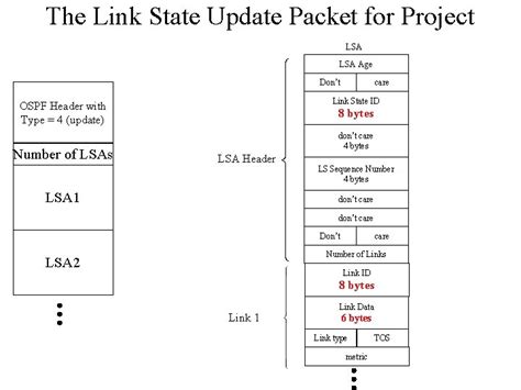 Ospf Header Ospf Header Version 1 Byte Pkt