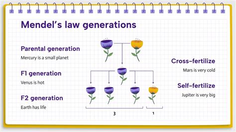 Mendel S Laws Uniformity Presentation