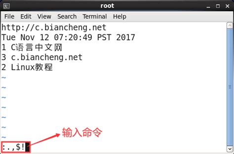 Vim 文本编辑器 如何在 Vim 中执行 Linux 命令 HopeLive 博客园