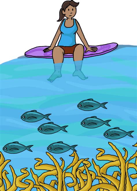 What Is A VSC VSC A Practical Guide For Parents In Aotearoa NZ