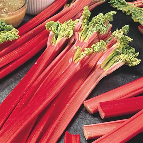 Growing Rhubarb Varieties Planting Guide Care Problems And Harvest