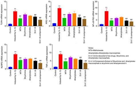 Effect Of Strychnine With Atractylodes Macrocephala On Il 1β Mediated Download Scientific