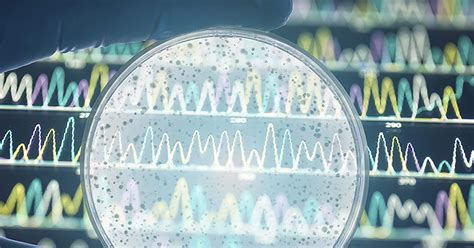 New Online Course In Genetics Of Disease Causing Bacteria Launched For Health Professionals And