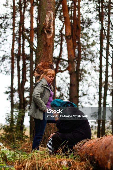 소나무 숲에서 걷고 로그 트렁크에 앉아 있는 두 여성의 사이드 뷰를 디포커스합니다 가을 숲에서 여가와 사람들 개념 어머니와 딸 사람들은 길을 잃었습니다 전체 수직 생활방식