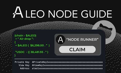 How To Install And Run An Aleo Testnet Node Detailed Guide By