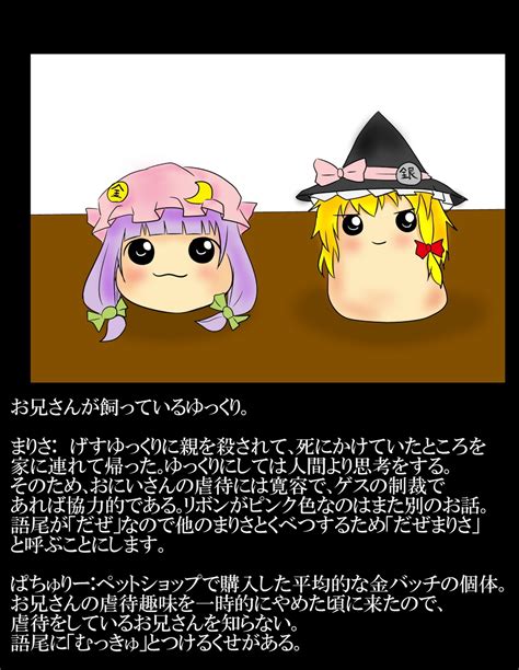 うちのゆっくり KURO