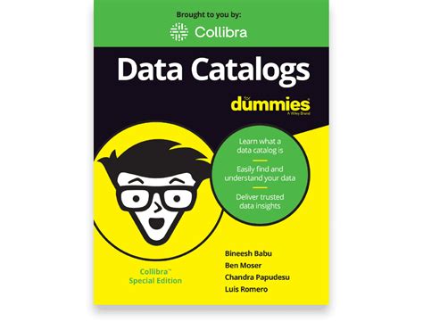 Data Catalogs For Dummies Free Ebook