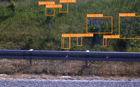 Ai And Computer Vision Powered Biodiversity Protection In Scandinavia