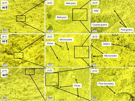 Om Images Showing Microstructure Pores And Microcracks Of A 01 Gr Download Scientific