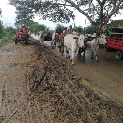 ပုလဲစစ်ကြောင်း ဒေသခံ၄၀ခန့်ကို ဓားစာခံအဖြစ်ဖမ်းဆီးထား သံလွင်ခက်