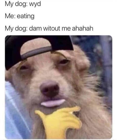 The Best Fboy Memes Memedroid