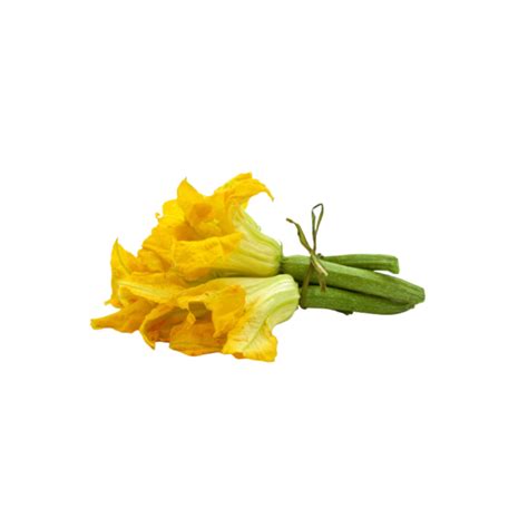 Corgette Flower Fruitrack