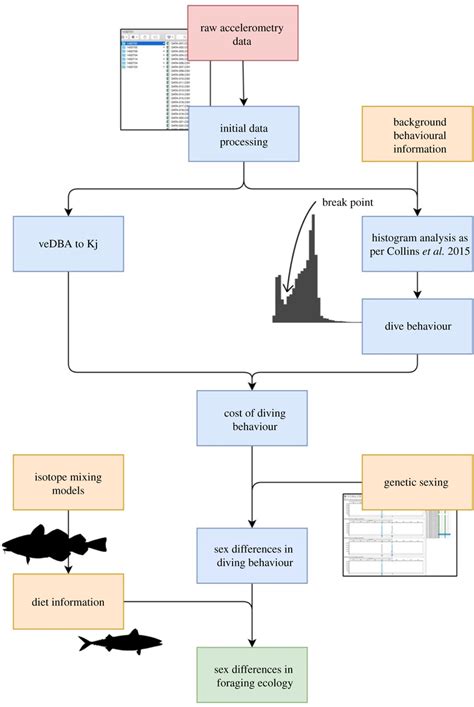 Conceptual Diagram Of A Methodology For Data Processing And The Steps