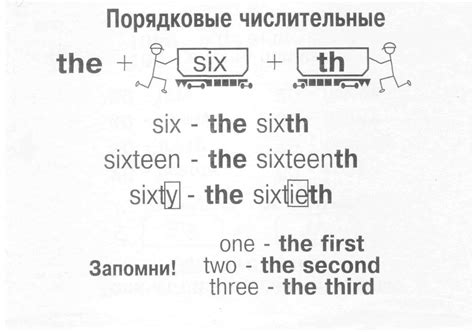 Порядковые числительные Грамматика в таблицах Английский язык Числительные Порядковые