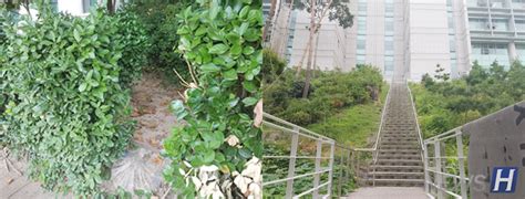 특명 ‘지각을 피하라 이동시간 줄이는 캠퍼스 지도