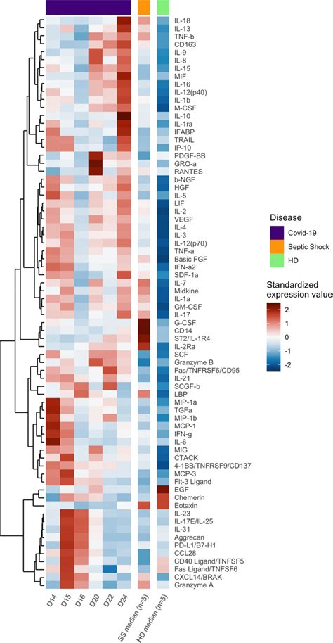 Heatmap Of Standardized Biomarker Expression In Serum Throughout The Download Scientific