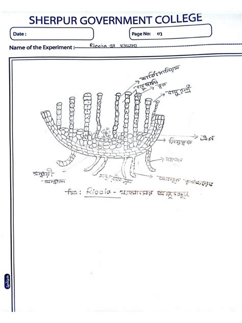 Botany Practical Part 1 Pdf