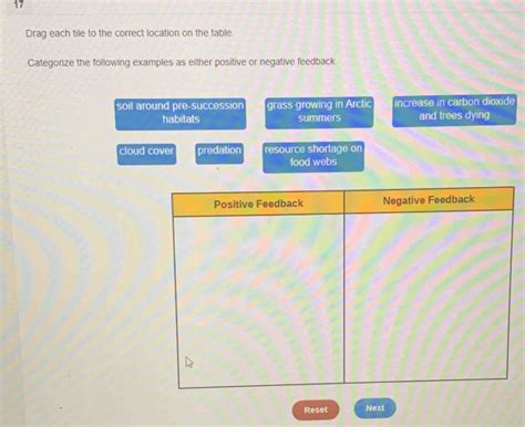 17 Drag Each Tile To The Correct Location On The Table Categorize The Following Examples [algebra]