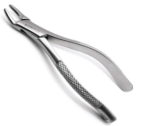 Dental Forceps Dental Surgical Instrument Names Of Dental Tooth