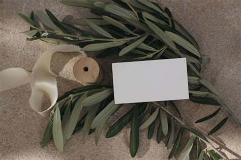 여름 브랜딩 문구 모형 장면 빈 명함의 근접 촬영 햇빛에 올리브 나무 가지에 초대장 템플릿 석회암 질감 배경입니다 지중해 평면 평지 평면도 0명에 대한 스톡 사진 및 기타