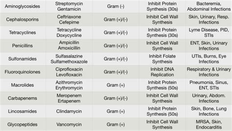 Antibiotic Cheat Sheet For Np