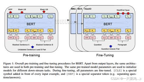 Bert论文阅读 Csdn博客