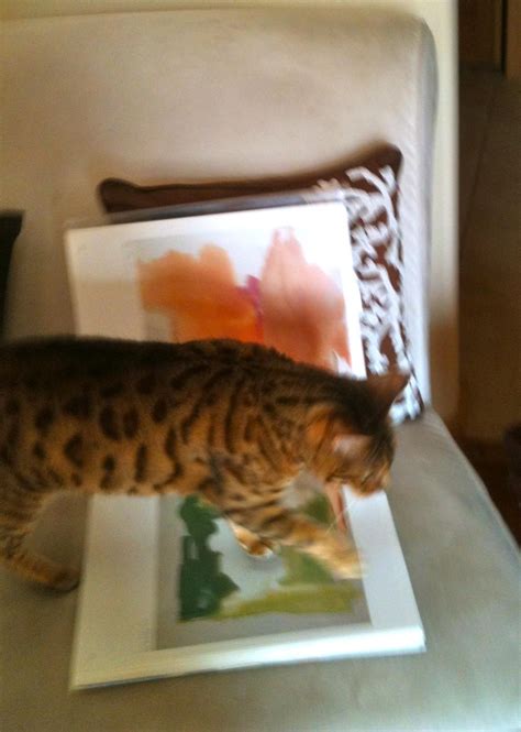 Frankenthaler And Cat Studio Assistant