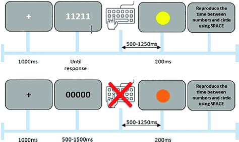 Example Of An Active Top And Passive Bottom Trial In Experiment 1