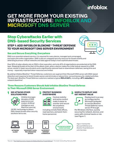 Maximizing Infrastructure Efficiency Infoblox Microsoft DNS Server Integration Infoblox