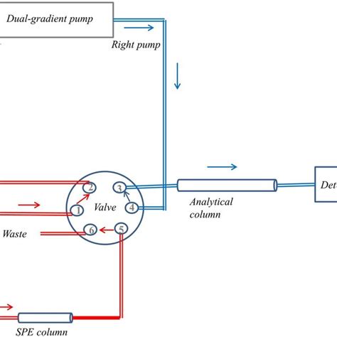 Graphical Depiction Of On Line Spe Hplc System Download Scientific Diagram