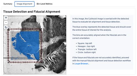 Space Ranger Web Summary Official 10x Genomics Support