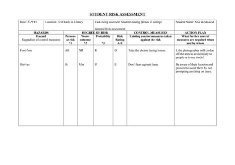 Preliminary Risk Assessment 1 Ppt
