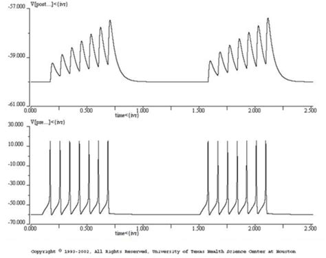 Cell Molec Test 2 Flashcards Quizlet
