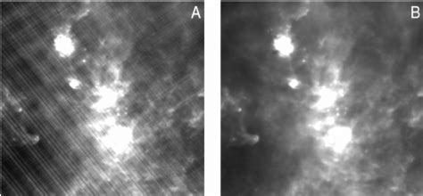 Naive M N Plot A And GLS M G Plot B Maps Of A Patch Of The Download Scientific Diagram
