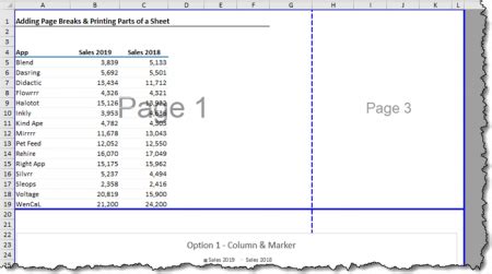 Properly Print Excel Files With These Tips Xelplus Leila Gharani
