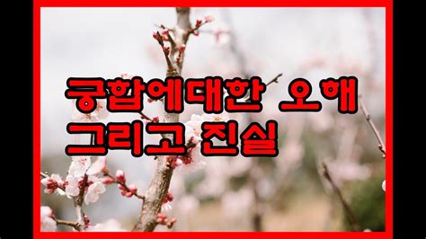 궁합에대한 오해 그리고 진실 Youtube