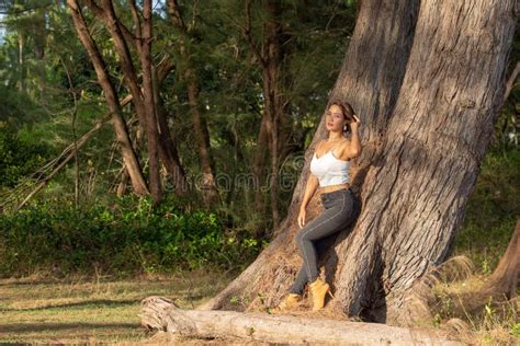 Tree Tunnel Picture Image