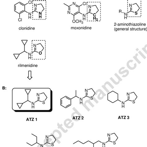 The Most Important Ligands For Imidazoline Receptors Download Scientific Diagram
