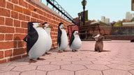 Pingwiny Z Madagaskaru Se01e11 Mega Mort Sublokatorka Cda