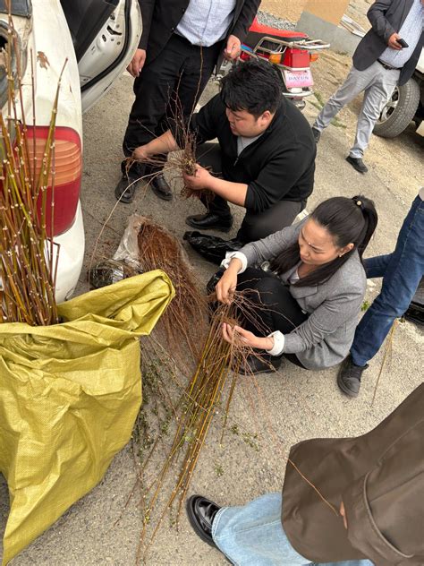 Арвайхээр Хотын Арвайхээр Хотын Захирагчийн Алба