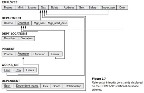 Relational Model Constraints And Relational Database Schemas Notes