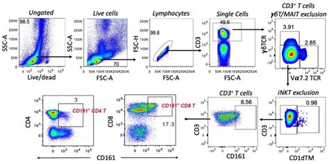 Representative Flow Cytometry Plots Of Lymphocytes In Pbmc Showing