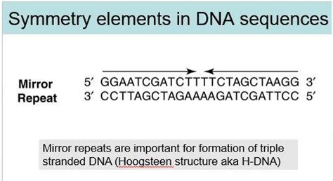 Bioinformatics What Could I Call Such Nucleic Acid Sequence A Sort Of Palindromic Sequence